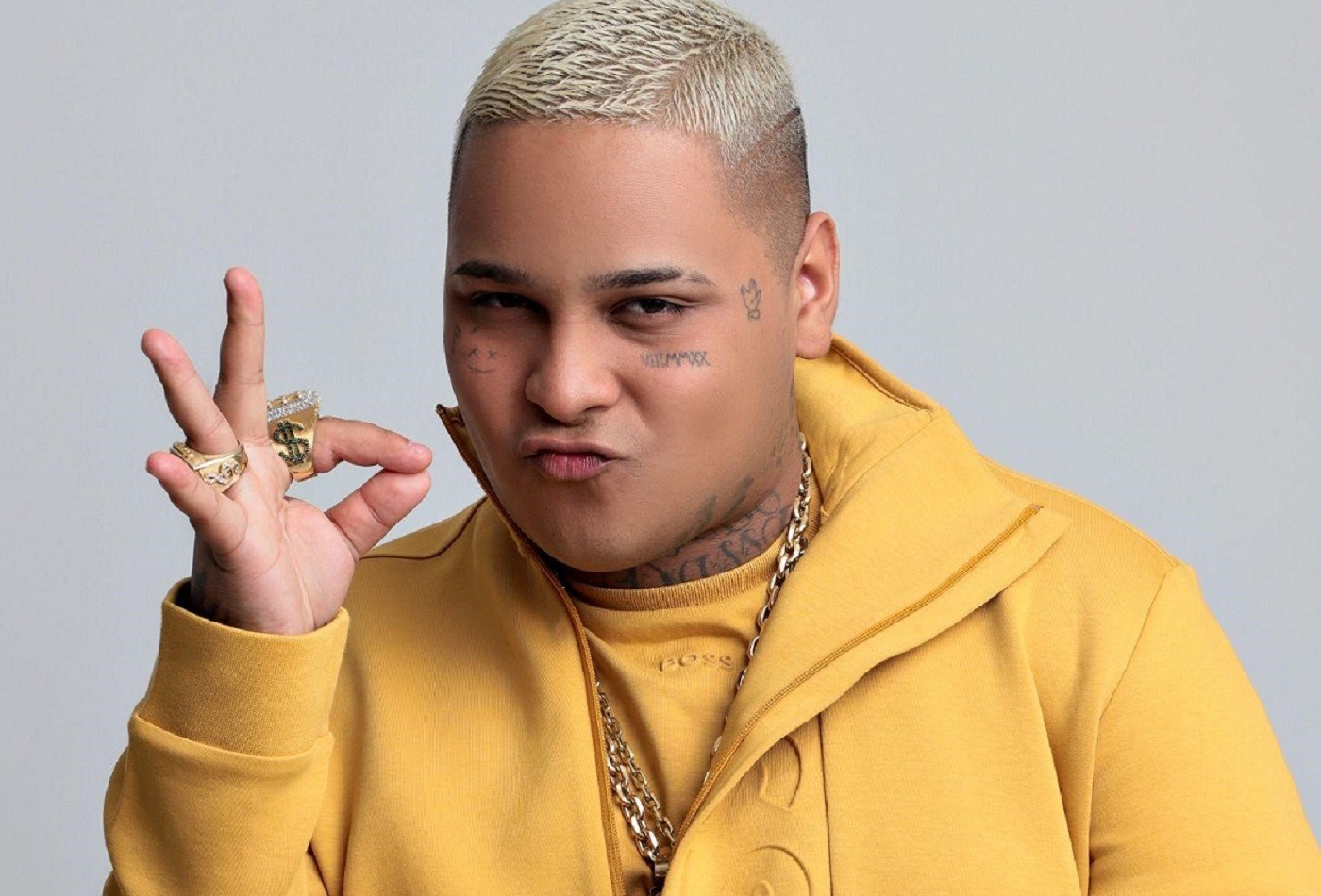 Saiba tudo sobre: MC Ryan SP