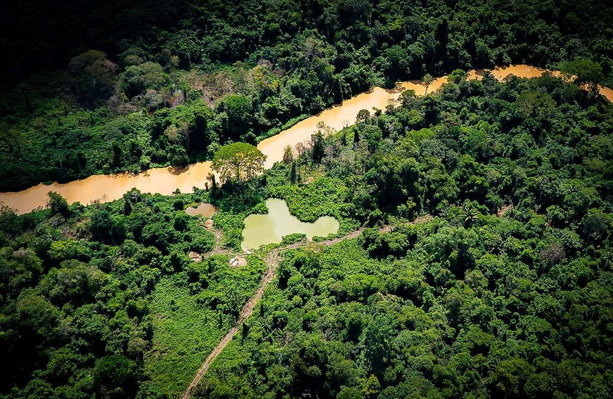 Indígenas relatam medo após garimpeiros abrirem estrada clandestina na ...