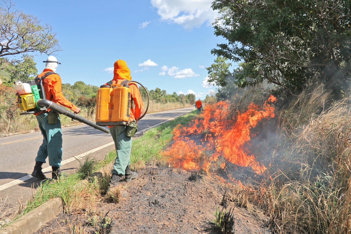 Equipes farão queimas controladas em margens de rodovias para evitar ...