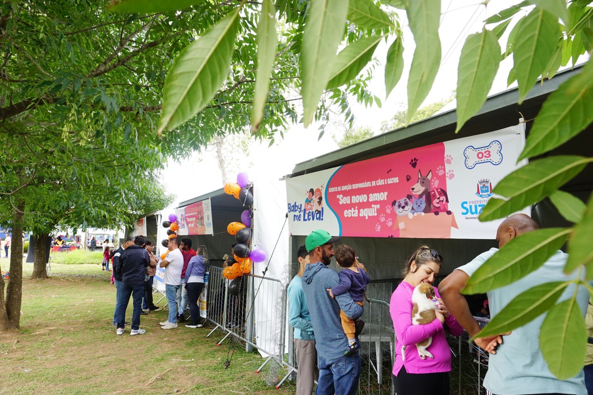 Suzano tem última feira de adoção deste ano no Parque Max Feffer neste ...