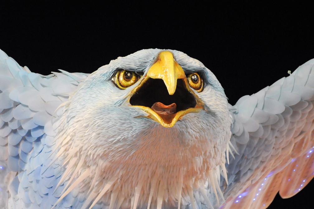 Desfile da Portela; FOTOS | Carnaval 2017 no Rio de Janeiro | G1