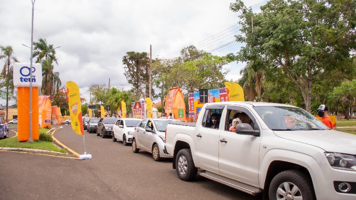 Drive Pet atrai visitantes com atividades e orientações sobre cuidados ...