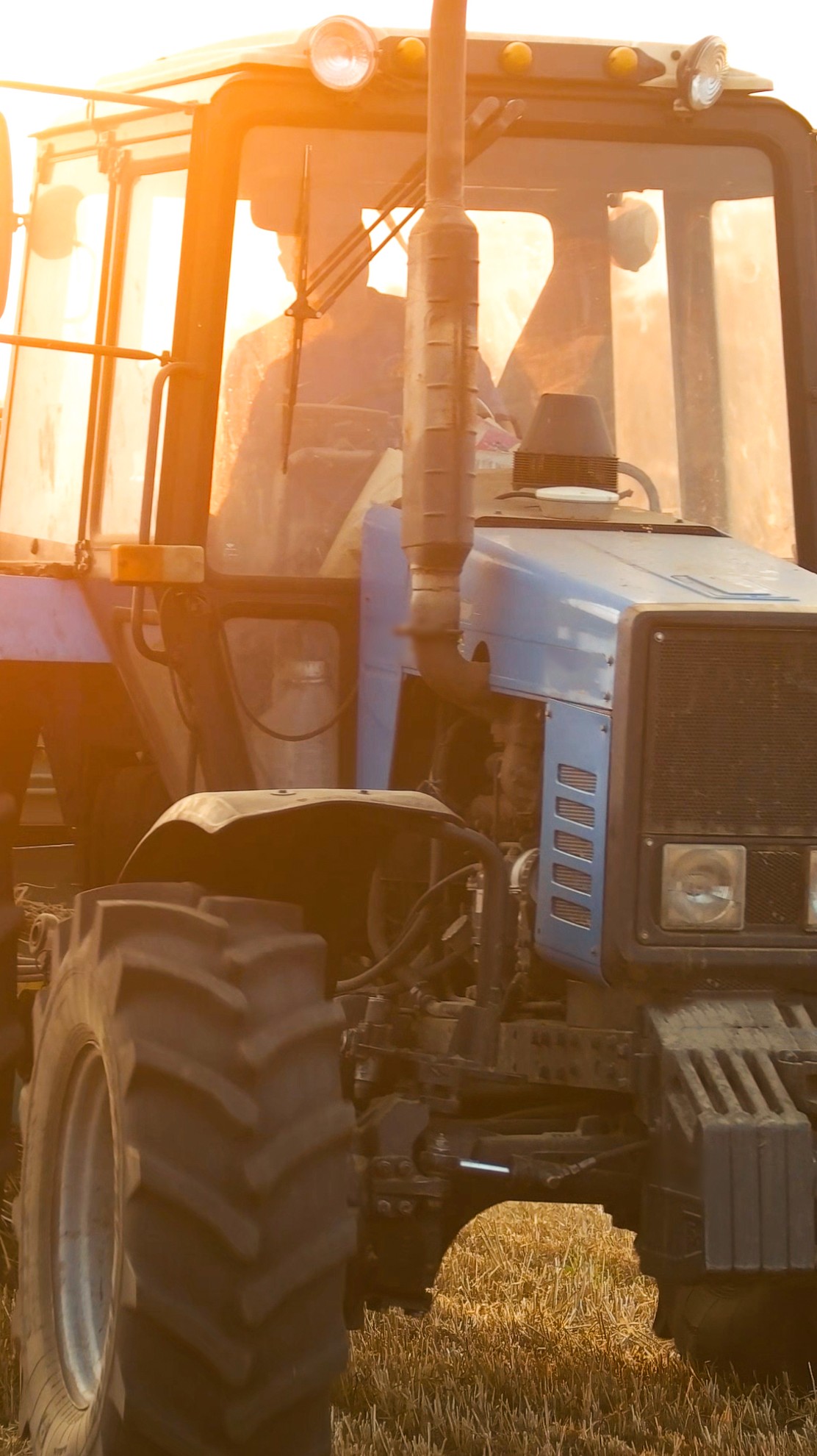 3 eventos agro que você não pode deixar de ir em setembro | Move Paraná ...