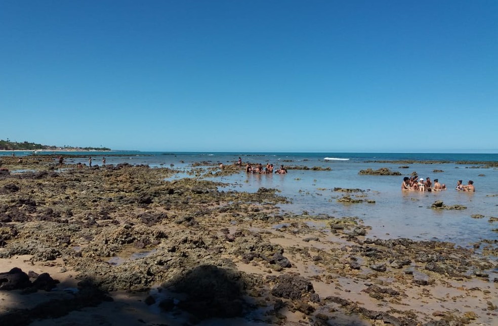 Praia de Carapibus, no Conde, PB, oferece mata nativa e tranquilidade ...