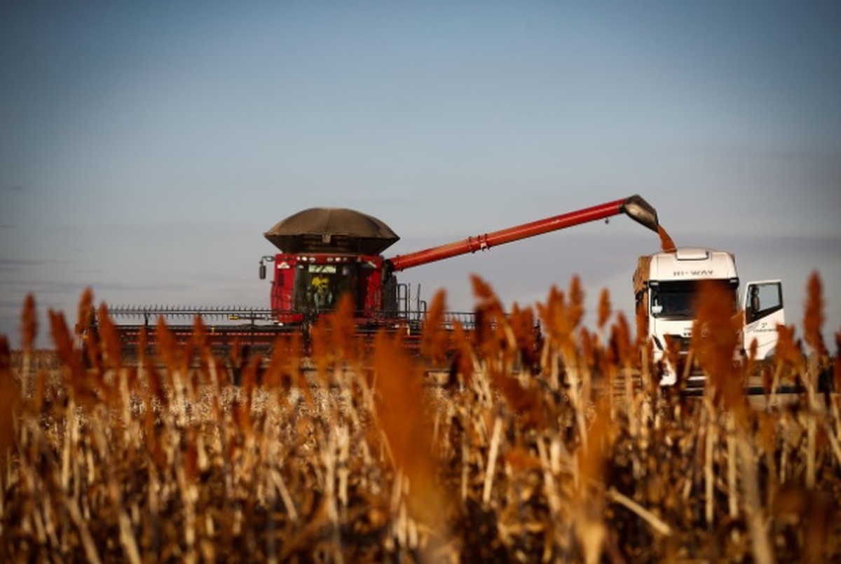 Agro brasileiro combina certificação e sustentabilidade, afirmam ...