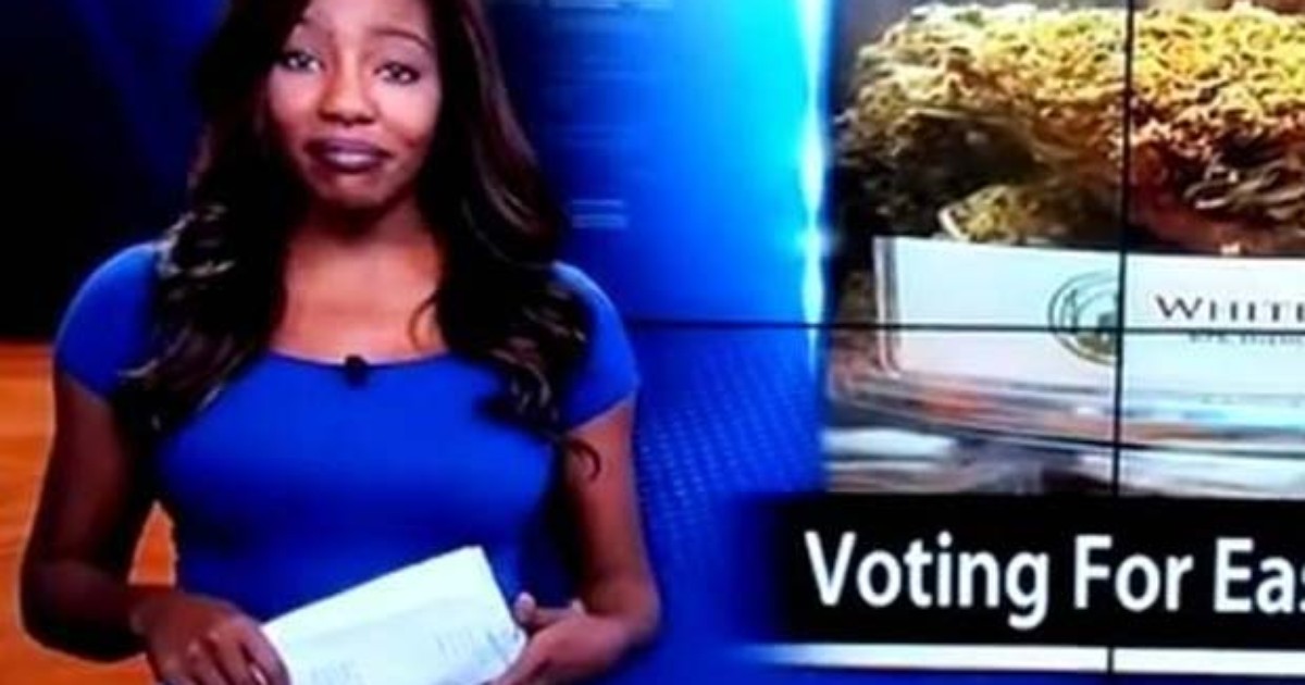 G1 - Veja 'repórter demitida' e mais cenas curiosas durante programas ...