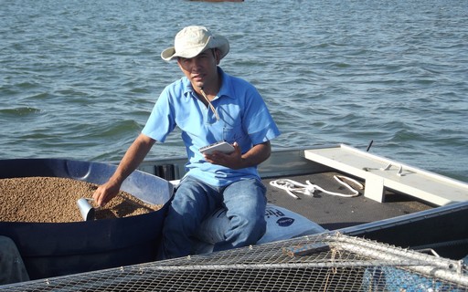 Como criar patinga - Revista Globo Rural | Como criar