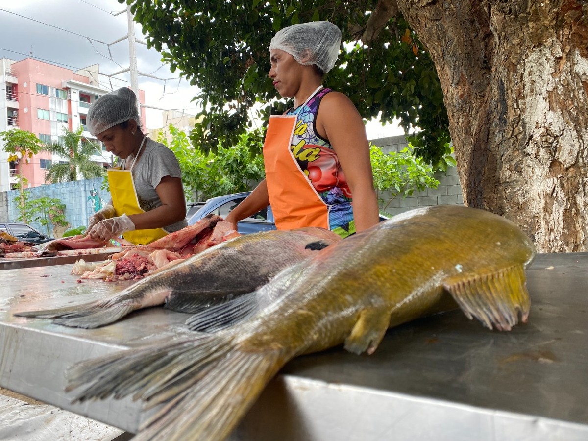 Feira do Tambaqui oferece mais de 12 toneladas de peixe em Manaus ...
