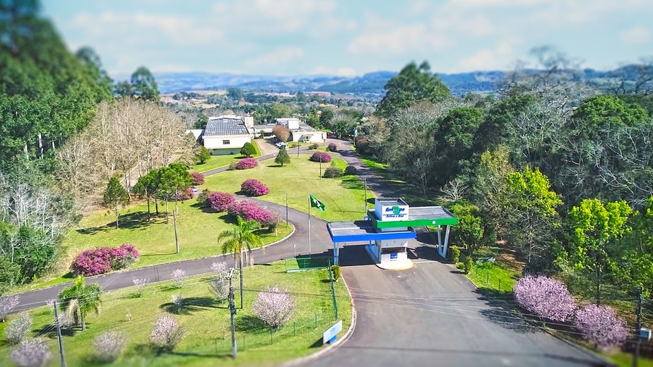 Embrapa abre vagas para bolsas de desenvolvimento de pesquisa e ...