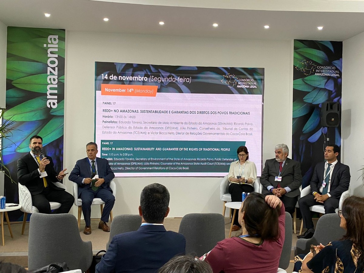 Lançamento do mercado de carbono e parceria com a WCS marcam primeiro ...