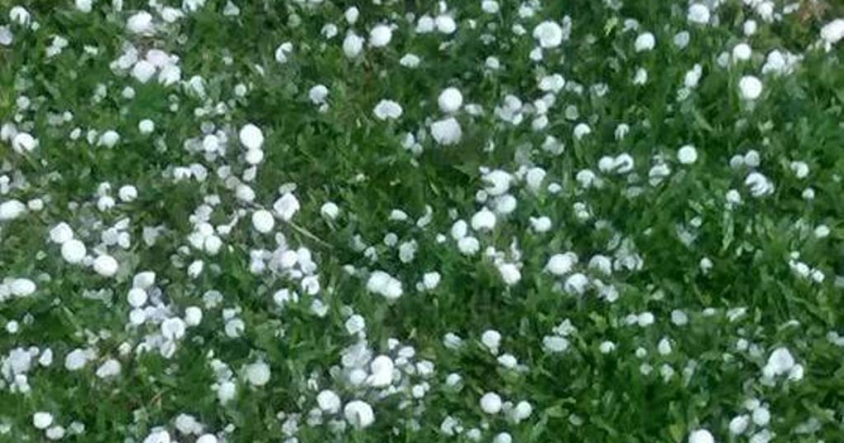 G1 - Defesa Civil de SC emite alerta para risco de temporais e granizo ...