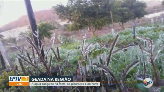 Pradópolis | Cidade | G1