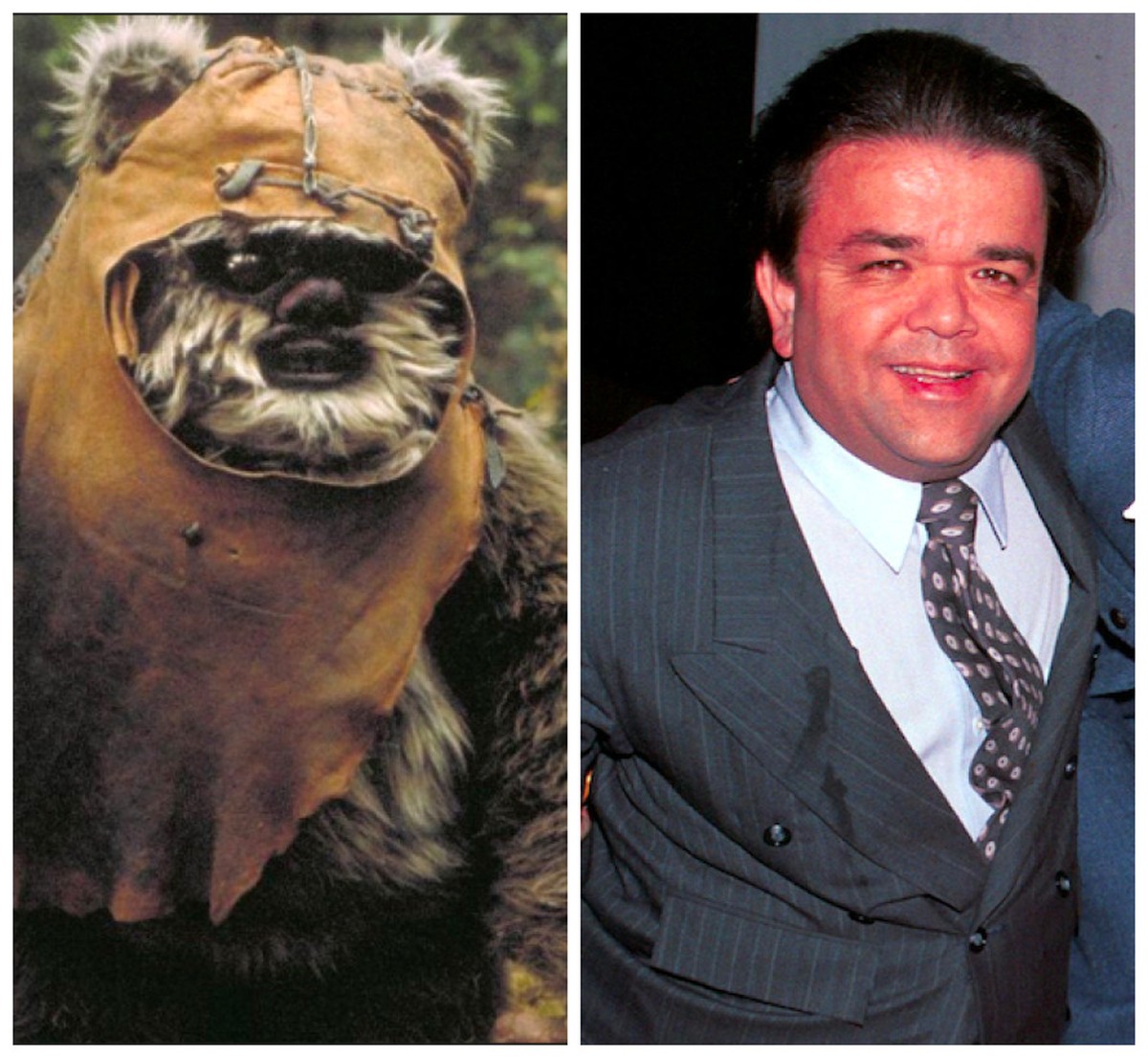 Gary Friedkin, ator com nanismo que fez ewok em 'Star Wars', morre aos ...