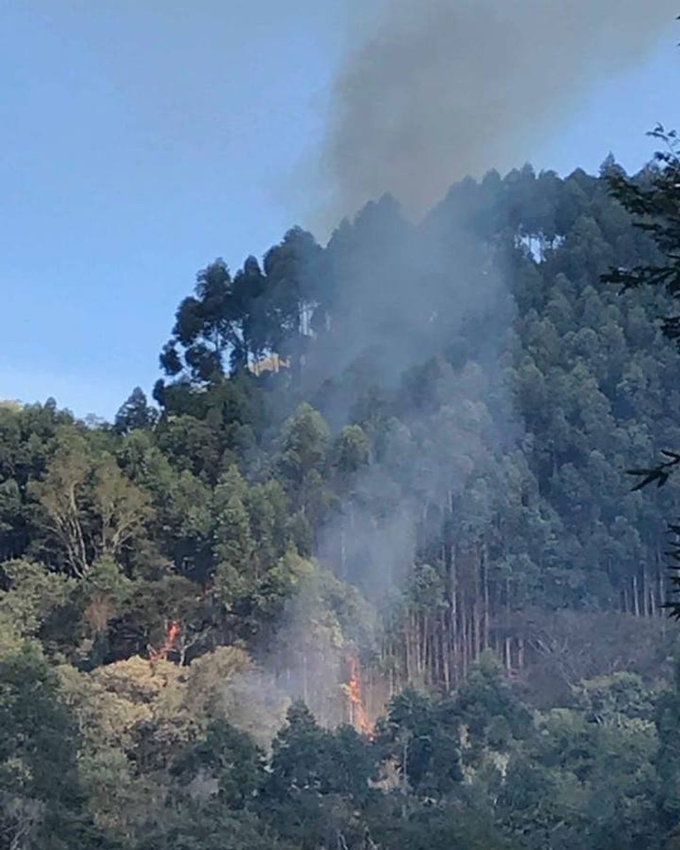 Incêndios destroem 65 mil metros quadrados de vegetação em Petrópolis ...