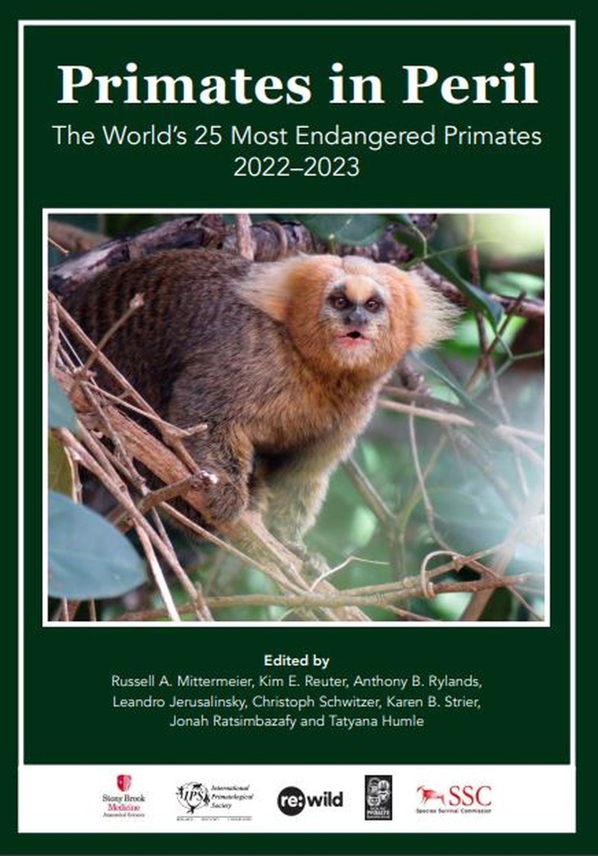 Conheça as espécies brasileiras que estão na lista dos primatas mais ...