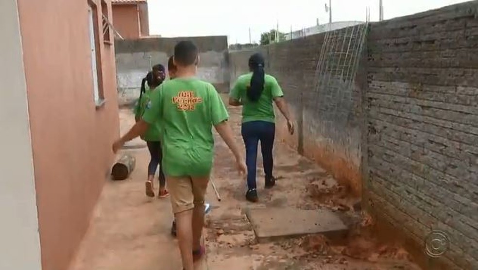 Agentes mirins ajudam no combate ao mosquito Aedes aegypti no interior ...