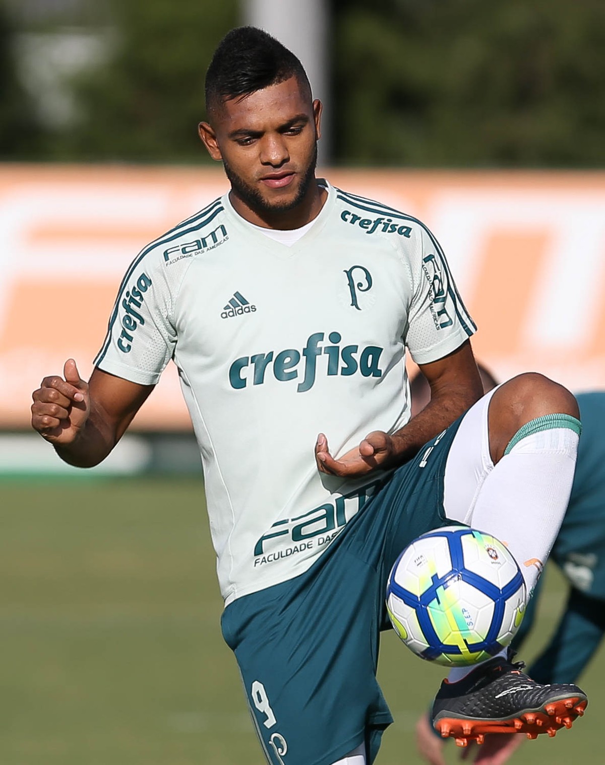 Borja em campo, gols de Hyoran e titulares na Academia: Palmeiras ...