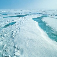 Nas manchetes sobre o IPCC, visões mundiais dos riscos e desafios do ...