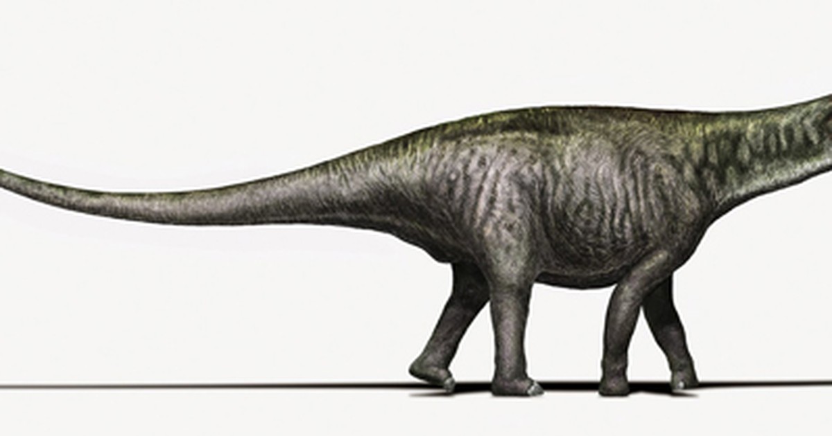 G1 - Cientistas 'resgatam' o Brontossauro: gênero de fato existiu ...