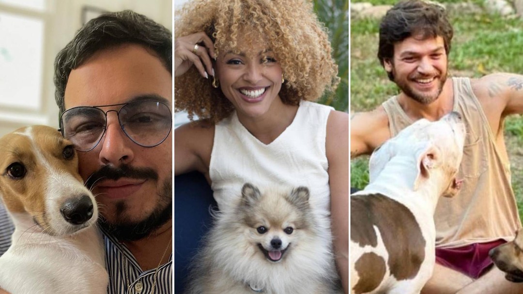 Viagem de helicóptero e muito mais: 10 momentos de Anitta com seus pets | Comportamento | Vida ...