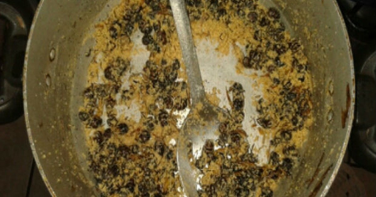 G1 - Iguaria gastronômica, formiga é vendida nas redes sociais ...