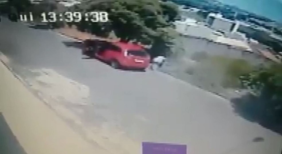 Câmera flagra quando mulher abandona e atropela gato em Pouso Alegre ...