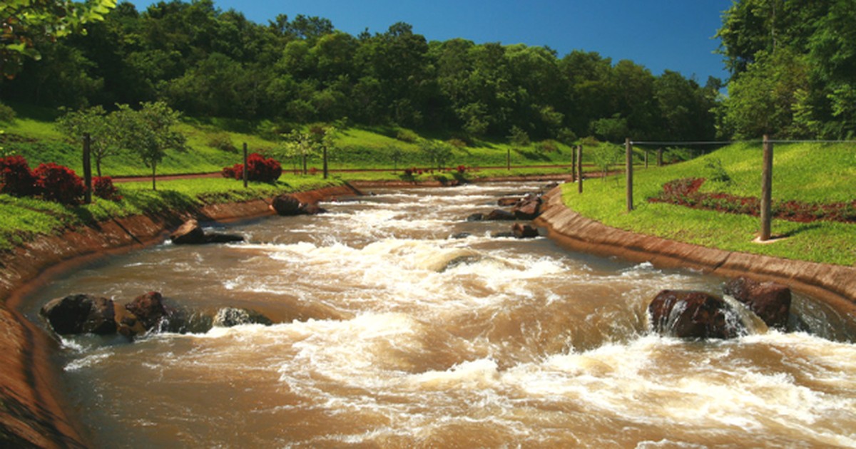 G1 - Filhote de jacaré ataca atleta de projeto de canoagem em Foz do ...