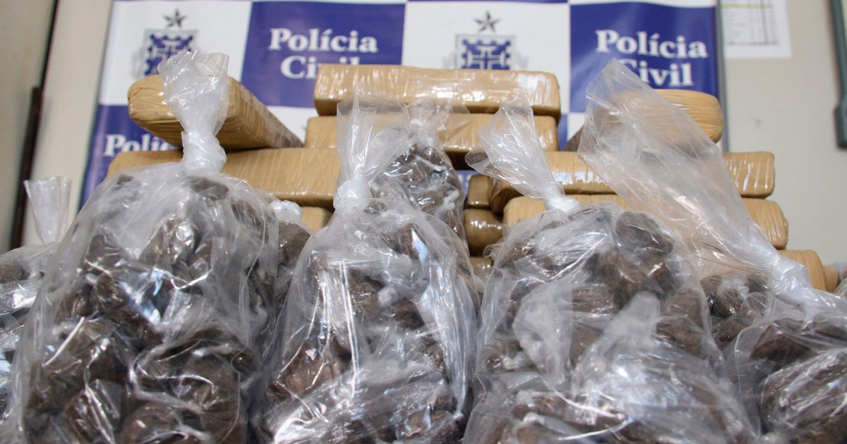 G1 - Maconha que seria vendida durante o carnaval é apreendida em ...