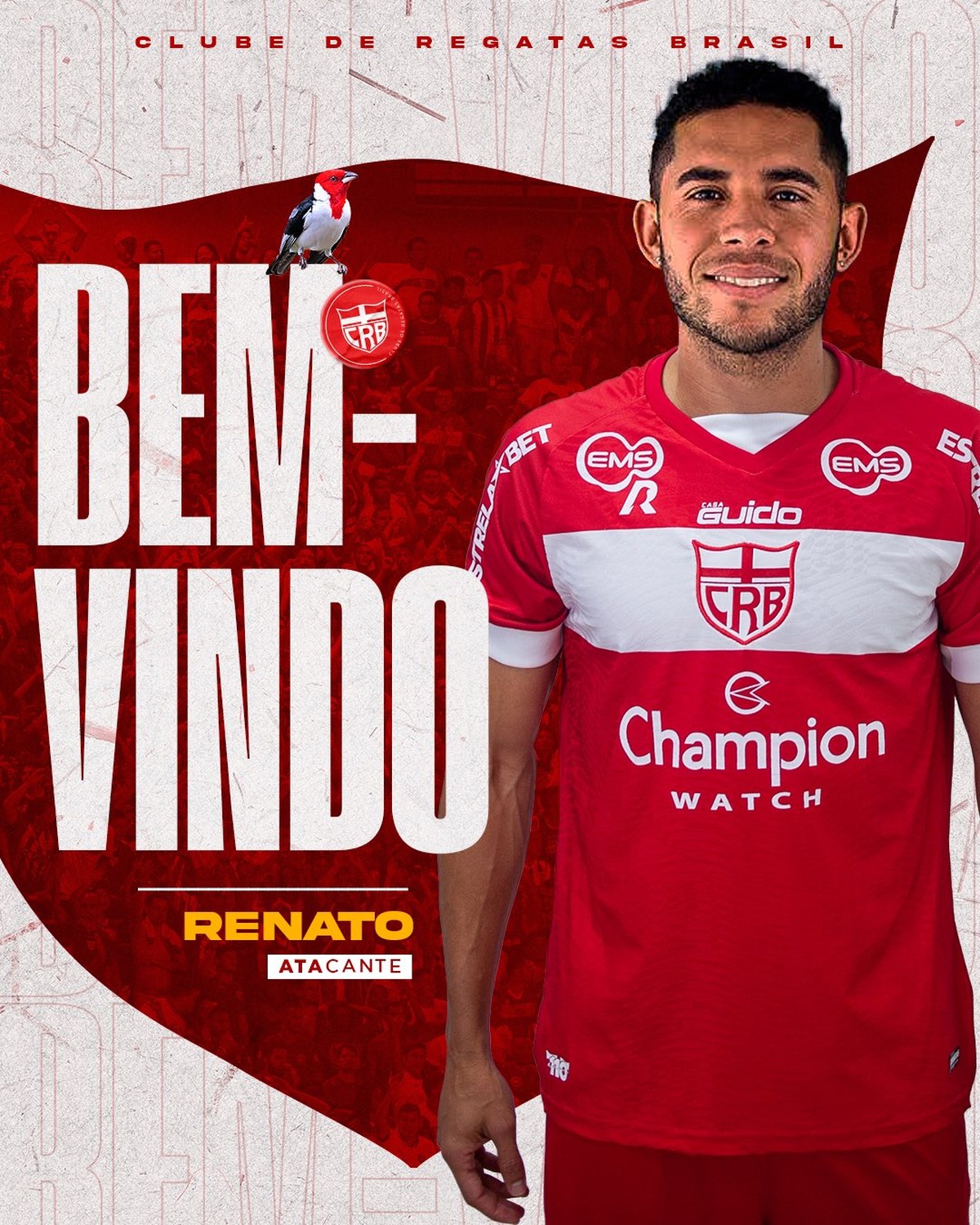 Renato já subiu quatro vezes para Série A e vai em busca do quinto ...