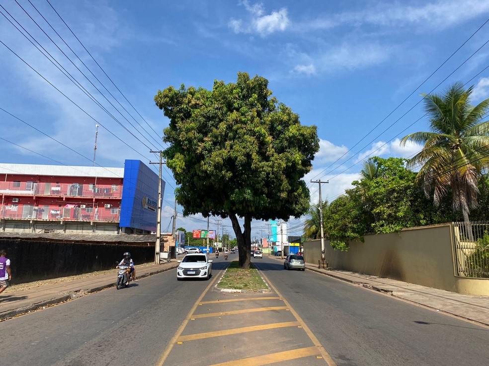 ⛰️ | Notícias de Roraima VII | Page 2 | SkyscraperCity Forum