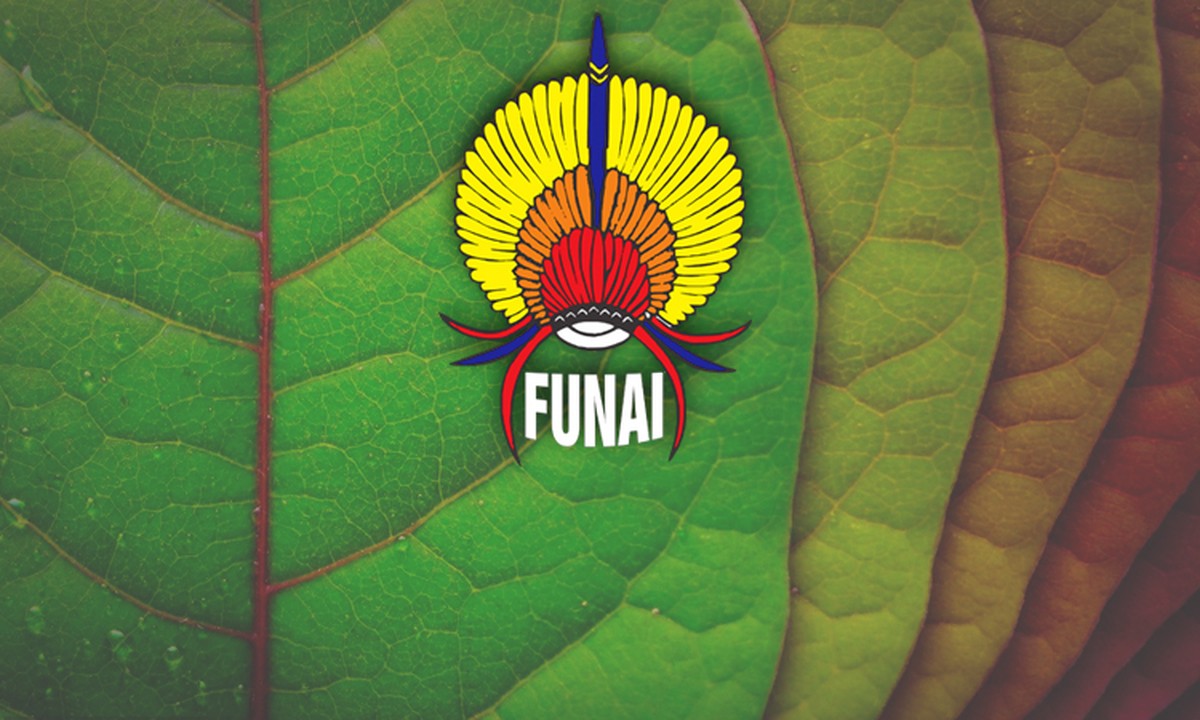 FUNAI tem vagas de estágio em processo seletivo até segunda (10) em ...