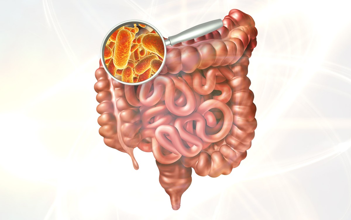 O poder que o seu intestino tem sobre sua saúde e até seu comportamento ...