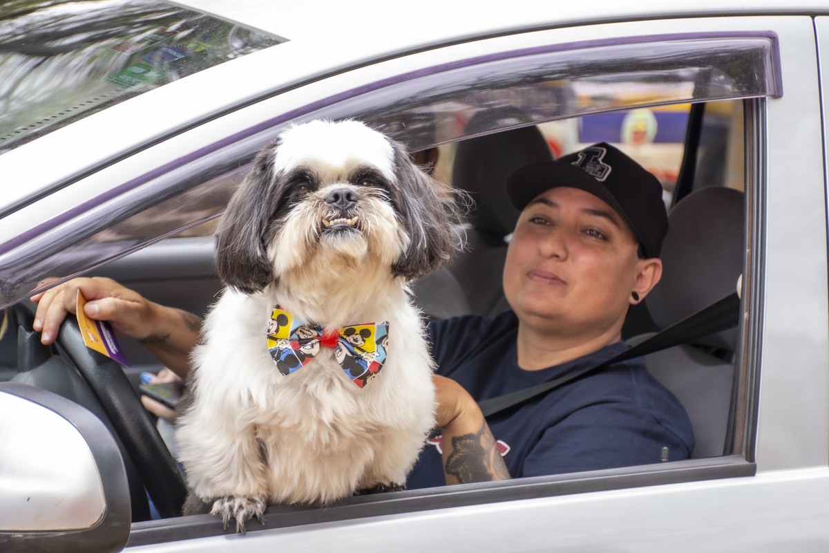 Confira a programação do Drive Pet 2022 | Drive Pet | G1