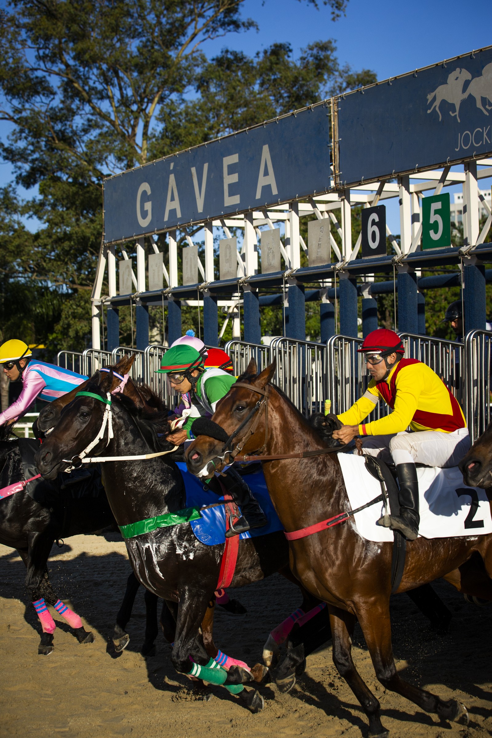 Grande Prêmio Brasil, no Jockey, ganha festival gratuito para ...