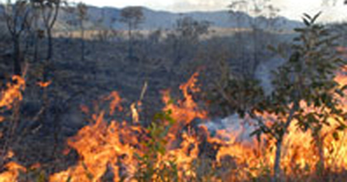 Natureza - Ministério coloca 18 estados em emergência por risco de ...