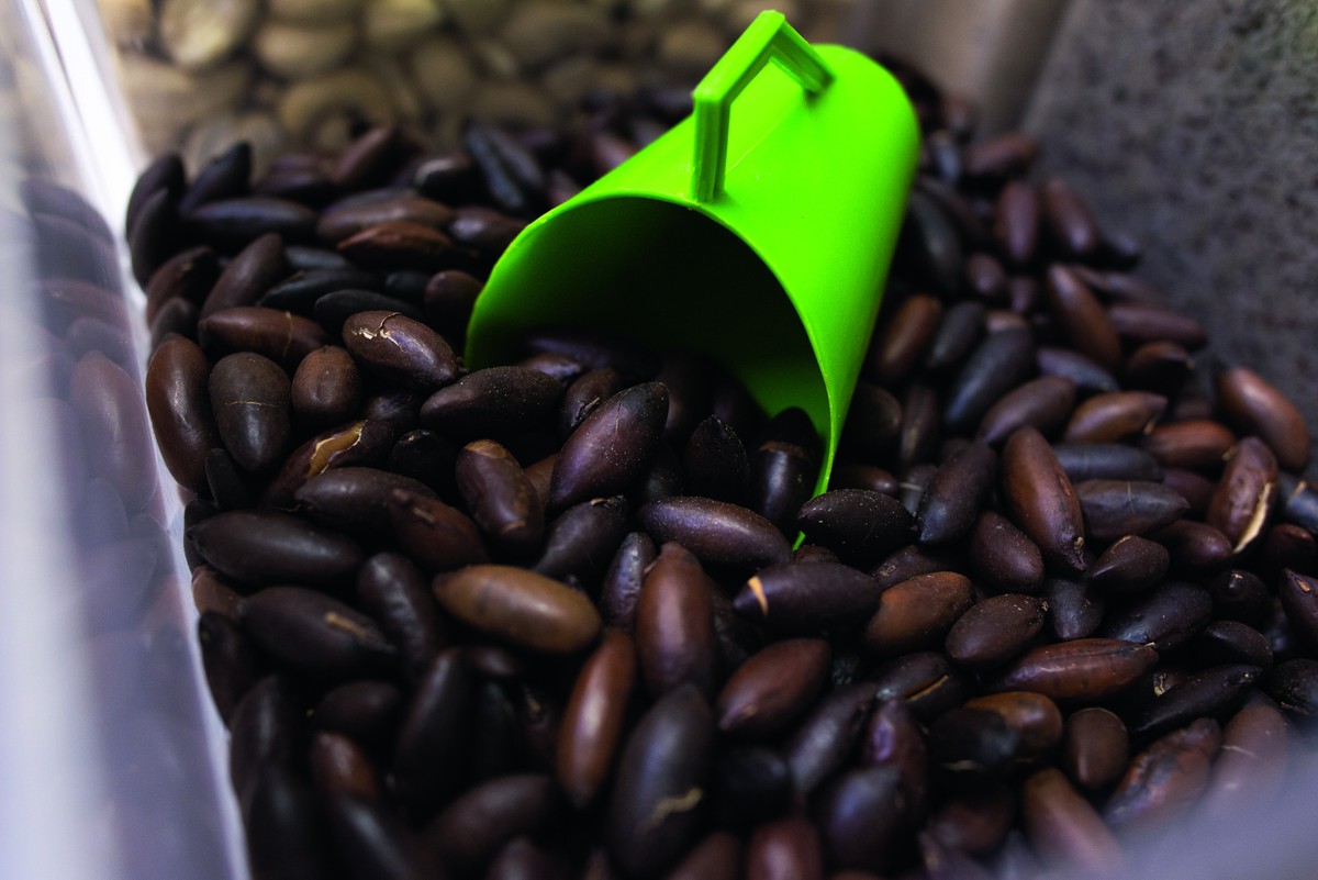 Cumaru: baunilha brasileira se tornou prova da economia na floresta ...