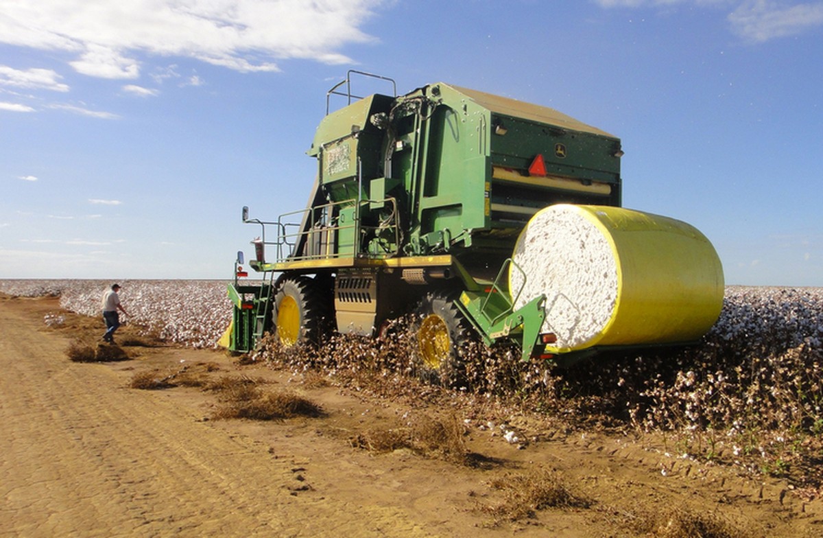 Insolo amplia produção agrícola no Piauí | Agronegócios | Valor Econômico