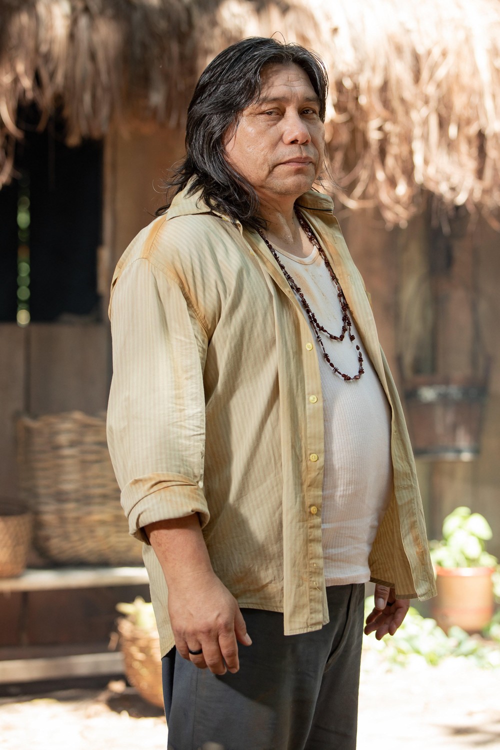 Pajé Jurecê ajuda Aline a conseguir a escritura de sua propriedade em ...