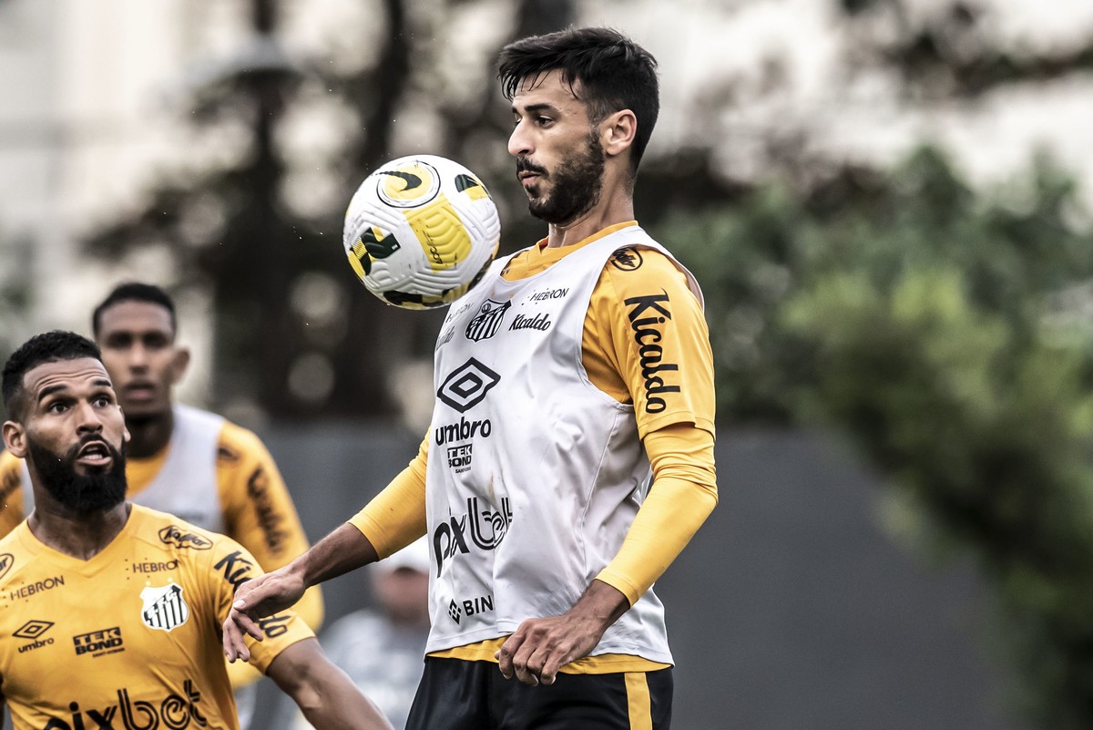 Camacho pede "virada de chave" para o Santos na Sul-Americana | santos | ge