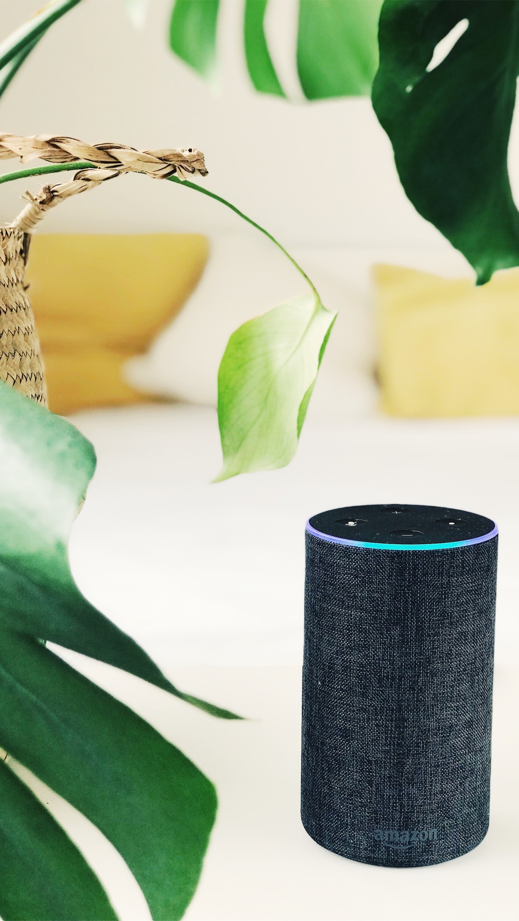 6 dispositivos smart para montar uma casa inteligente em 2023