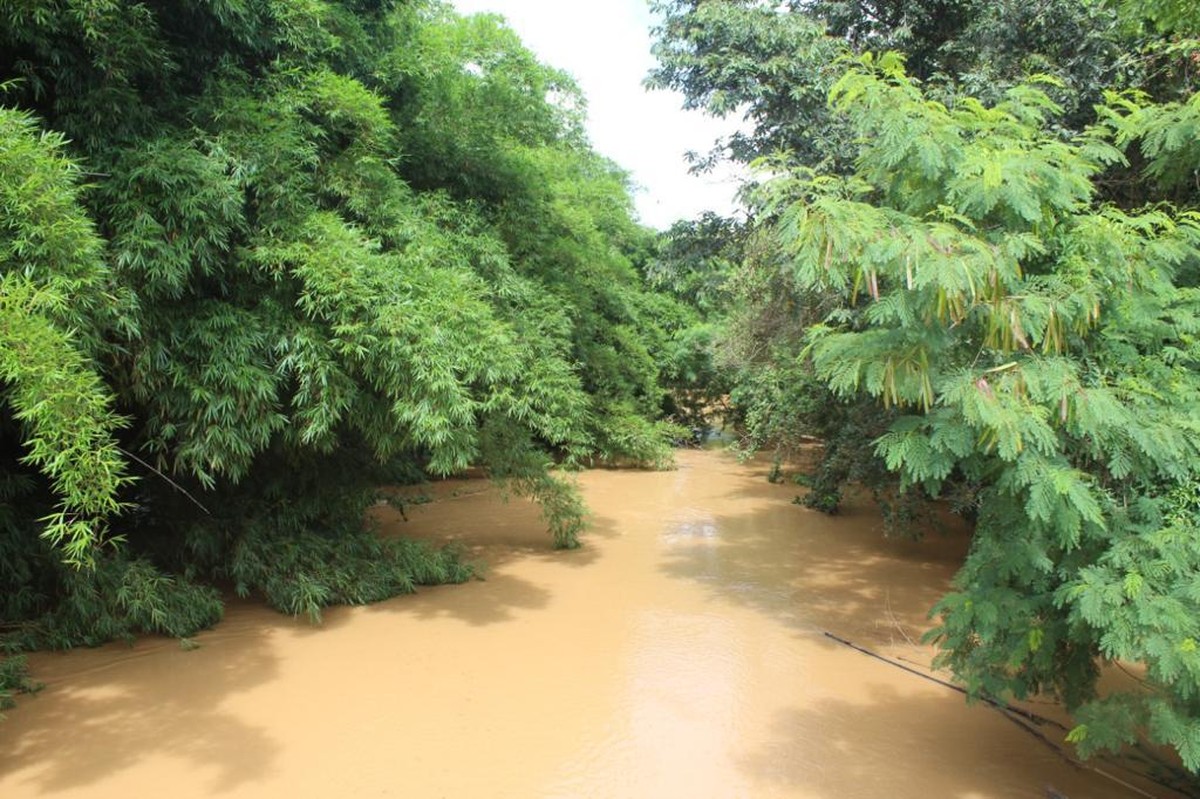 Nível do rio sobe em Capivari e prefeitura começa a retirar famílias de ...