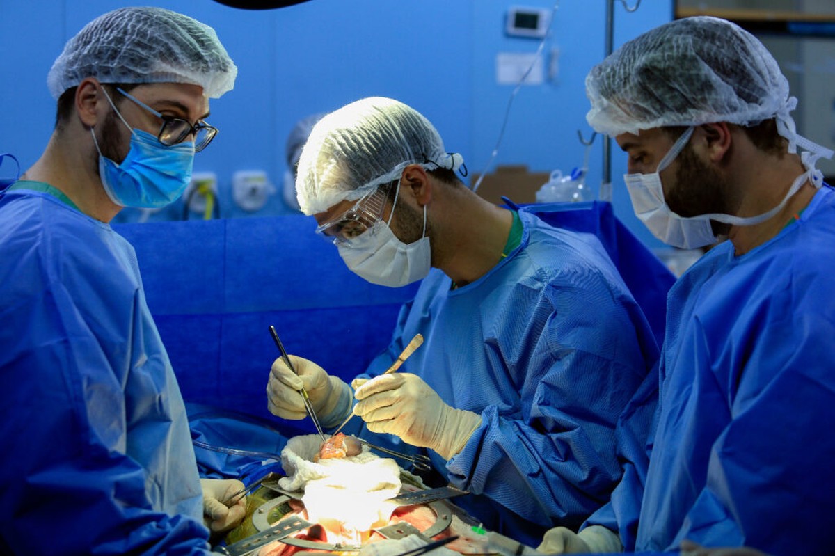 Transplante de rim em paciente de 50 anos é primeiro a ser realizado em ...
