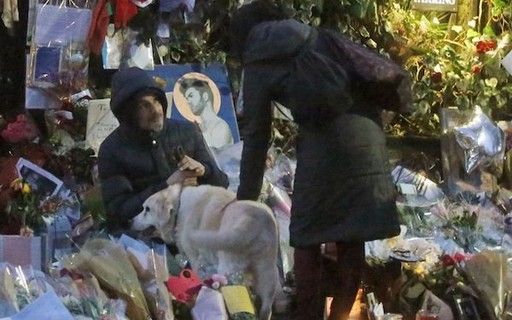 Cachorra ainda espera por George Michael em frente de santuário para ...