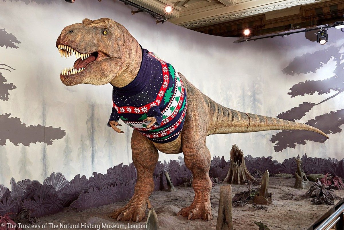 Tiranossauro Rex ganha suéter para celebrar o Natal no Museu de ...