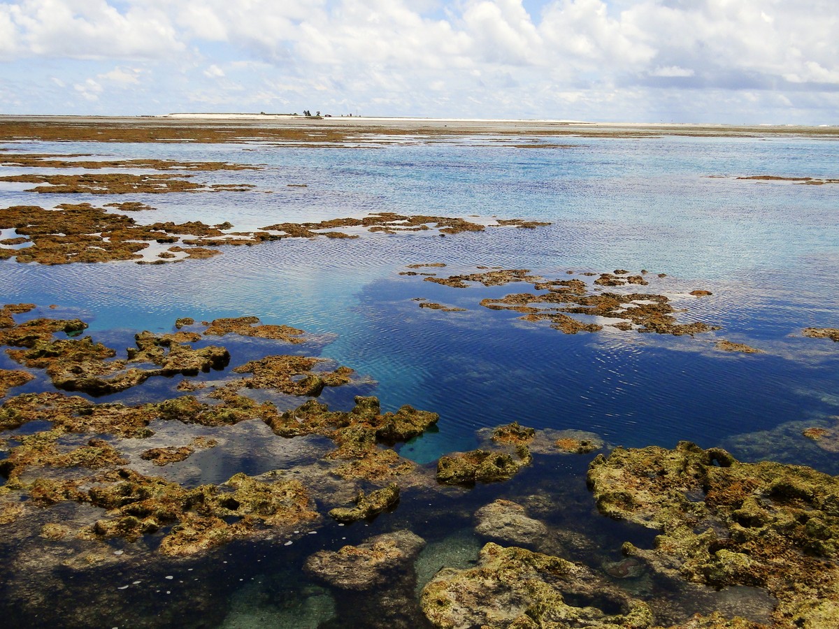 Atol das Rocas é o único do Atlântico Sul Ocidental e um dos menores do ...