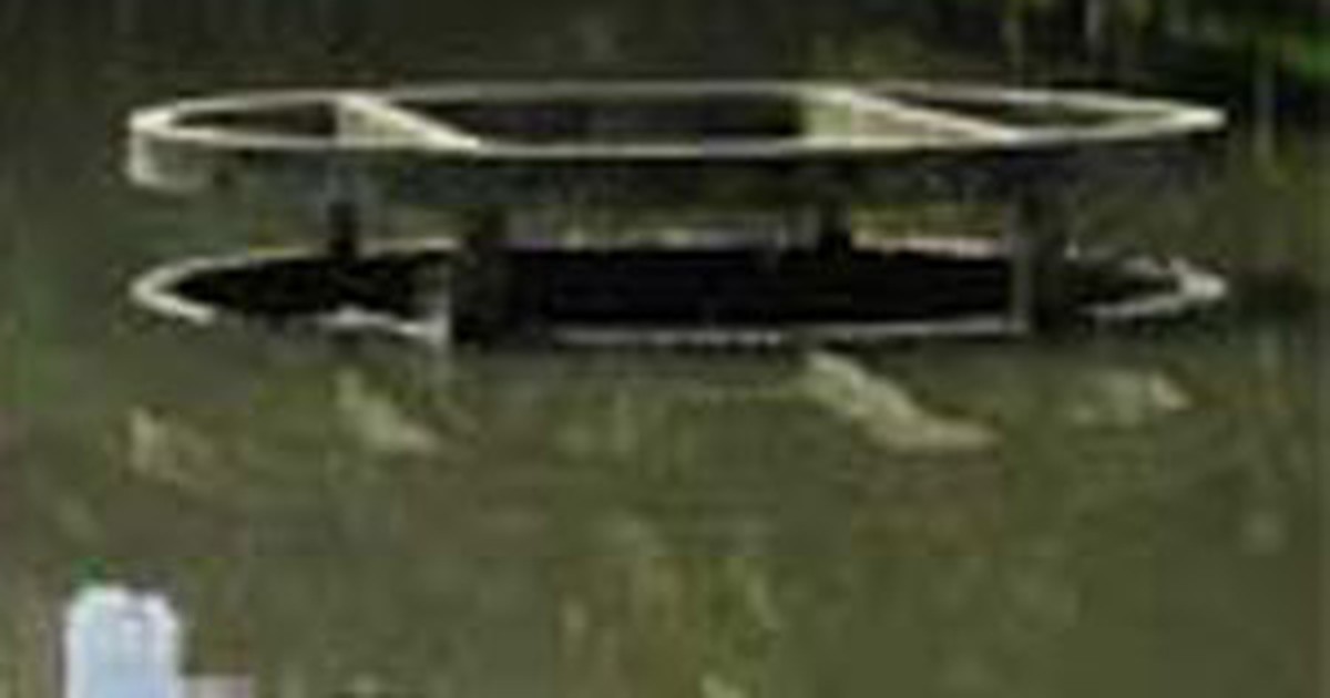 G1 - Lago em parque da Zona Sul de SP terá lodo removido nesta terça ...