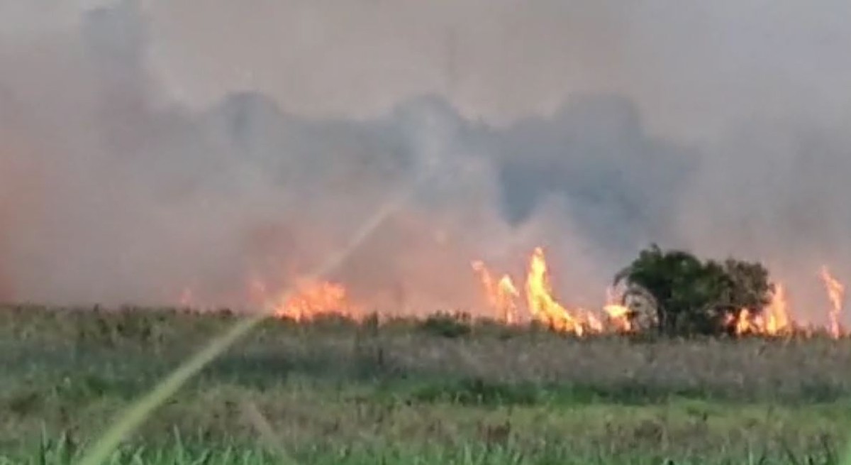 Raio atinge área de vegetação em fazenda de Iperó | Sorocaba e Jundiaí | G1