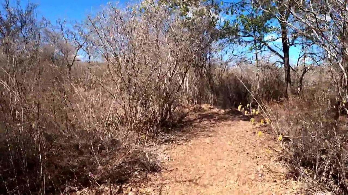 Globo Rural ganha mais conteúdo e começa mais cedo | Globo Rural | G1