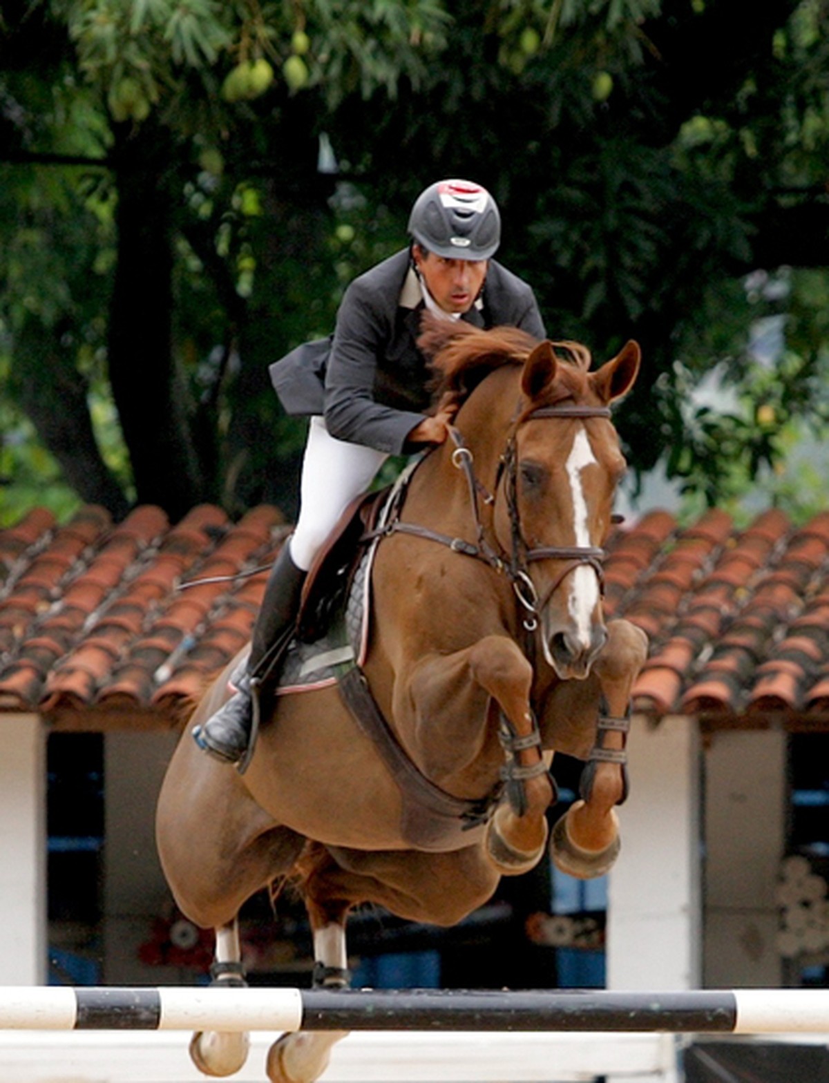 Elite do hipismo nacional se reúne no Rio e disputa Troféu Roberto ...