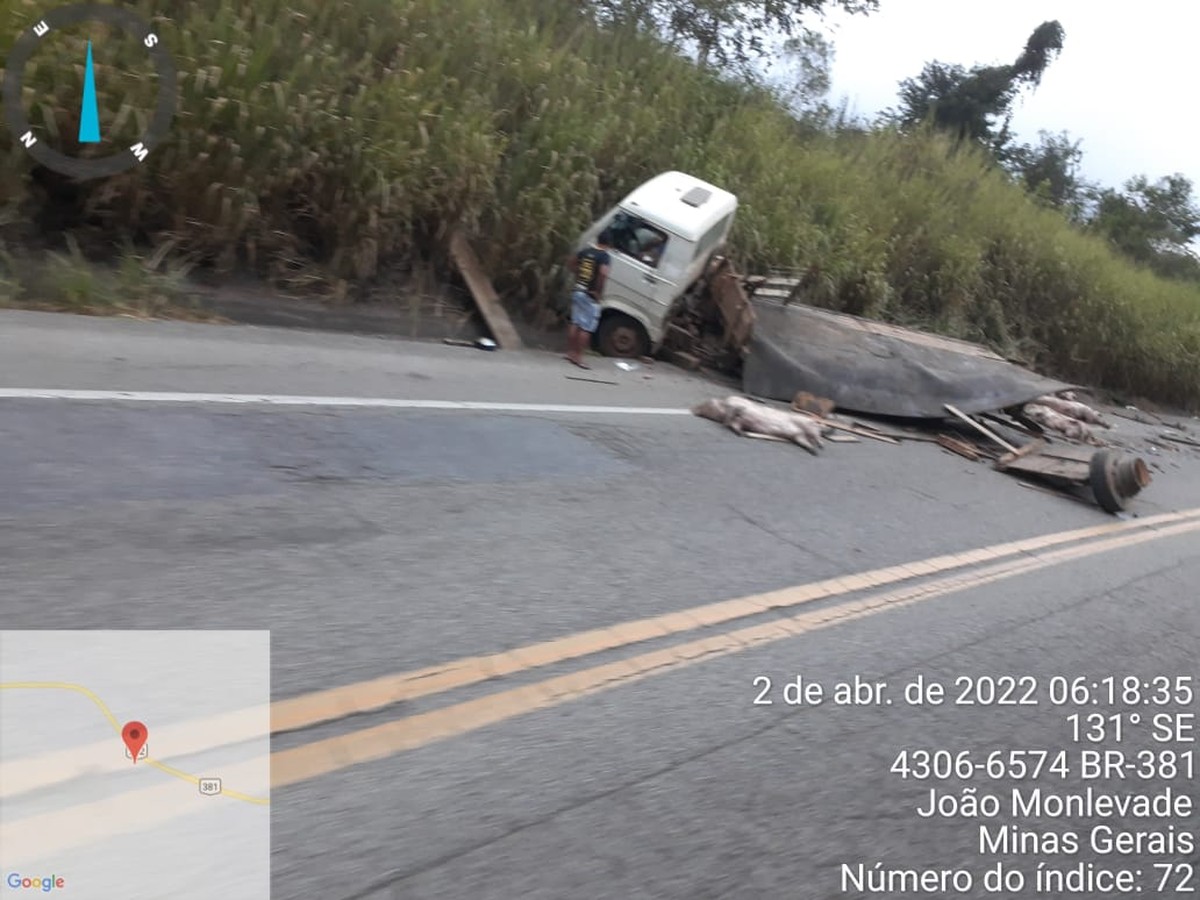 Acidente com caminhão que transportava porcos fecha trecho da BR-381 em ...